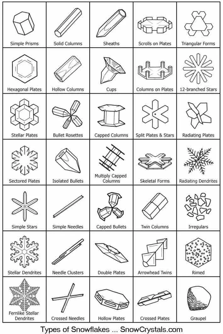 Look at snowflakes under the microscope - Rs' Science