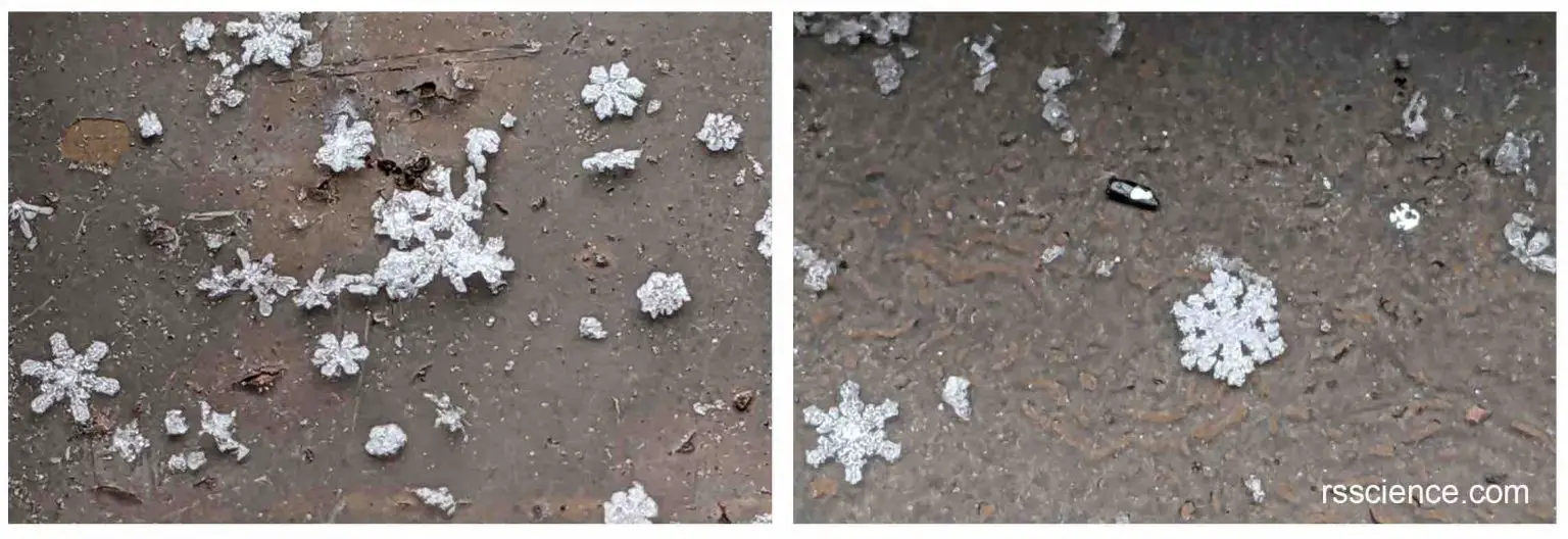 Look at snowflakes under the microscope - Rs' Science