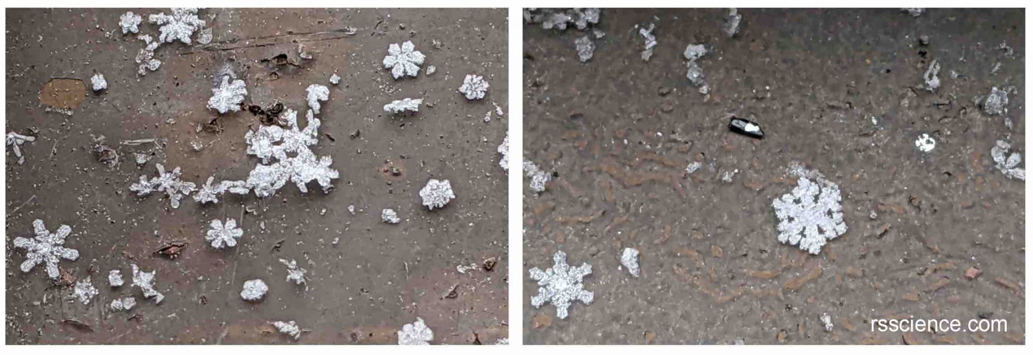 Look at snowflakes under the microscope - Rs' Science