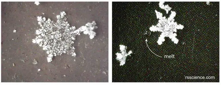 Look at snowflakes under the microscope - Rs' Science