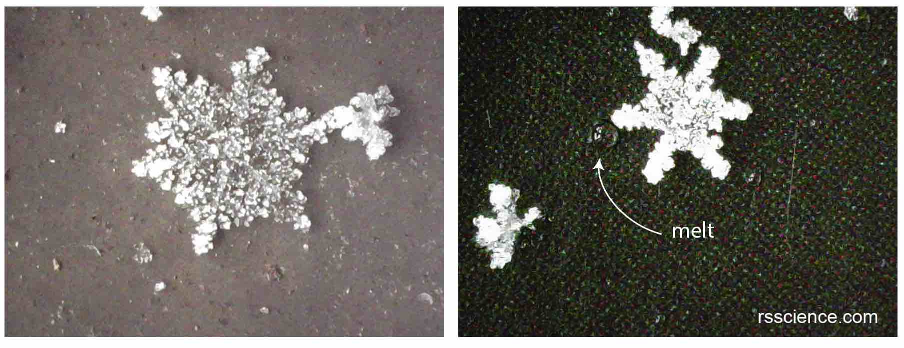 Look at snowflakes under the microscope - Rs' Science