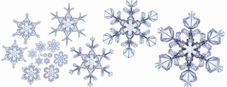 Look at snowflakes under the microscope - Rs' Science