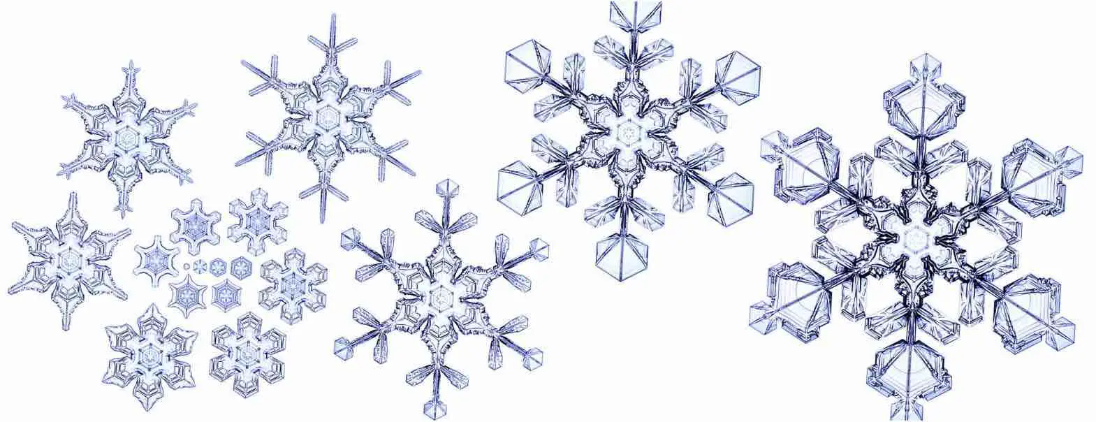 Look at snowflakes under the microscope - Rs' Science