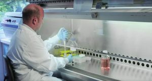 Cell Culture Basics – The Foundation of Biotechnology - Rs' Science