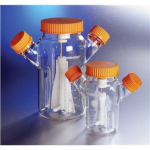 Cell Culture Basics – The Foundation of Biotechnology - Rs' Science