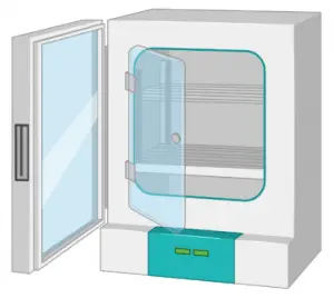 Cell Culture Basics – The Foundation of Biotechnology - Rs' Science