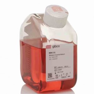 Cell Culture Basics – The Foundation of Biotechnology - Rs' Science