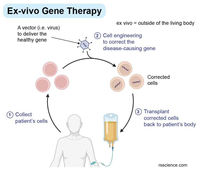 Gene Therapy: A Promising Biotechnology for the Treatment of Genetic ...
