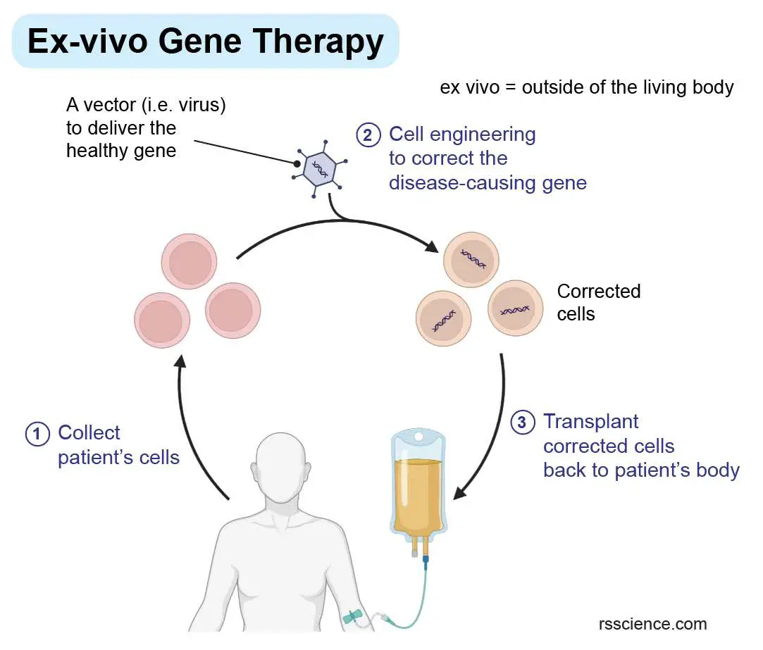 Gene Therapy: A Promising Biotechnology for the Treatment of Genetic ...