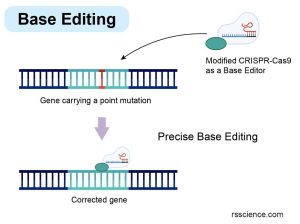 Gene Therapy: A Promising Biotechnology for the Treatment of Genetic ...