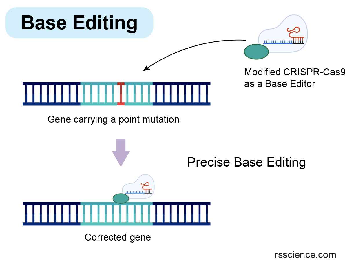 Gene Therapy: A Promising Biotechnology for the Treatment of Genetic ...