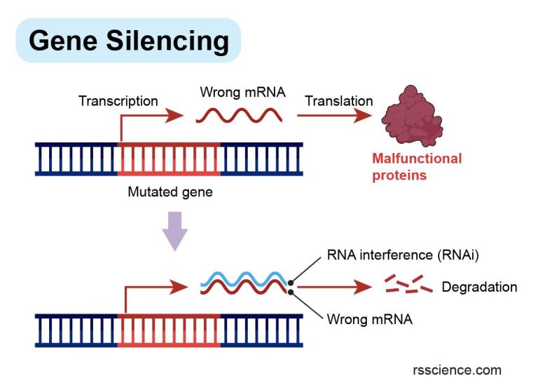 Gene Therapy: A Promising Biotechnology for the Treatment of Genetic ...