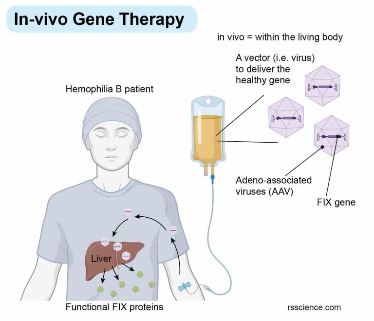 Gene Therapy: A Promising Biotechnology for the Treatment of Genetic ...