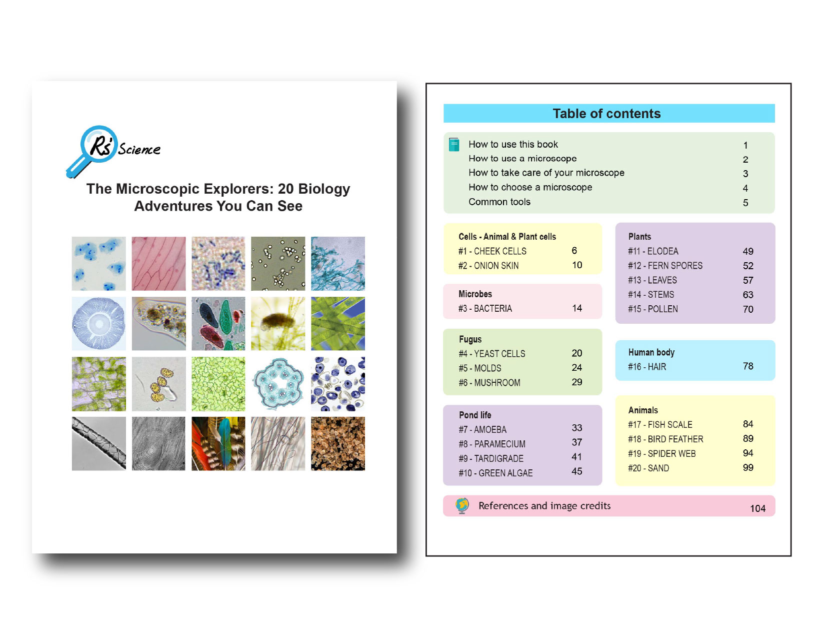 The Microscopic Explorers: 20 Biology Adventures You Can See - Rs' Science