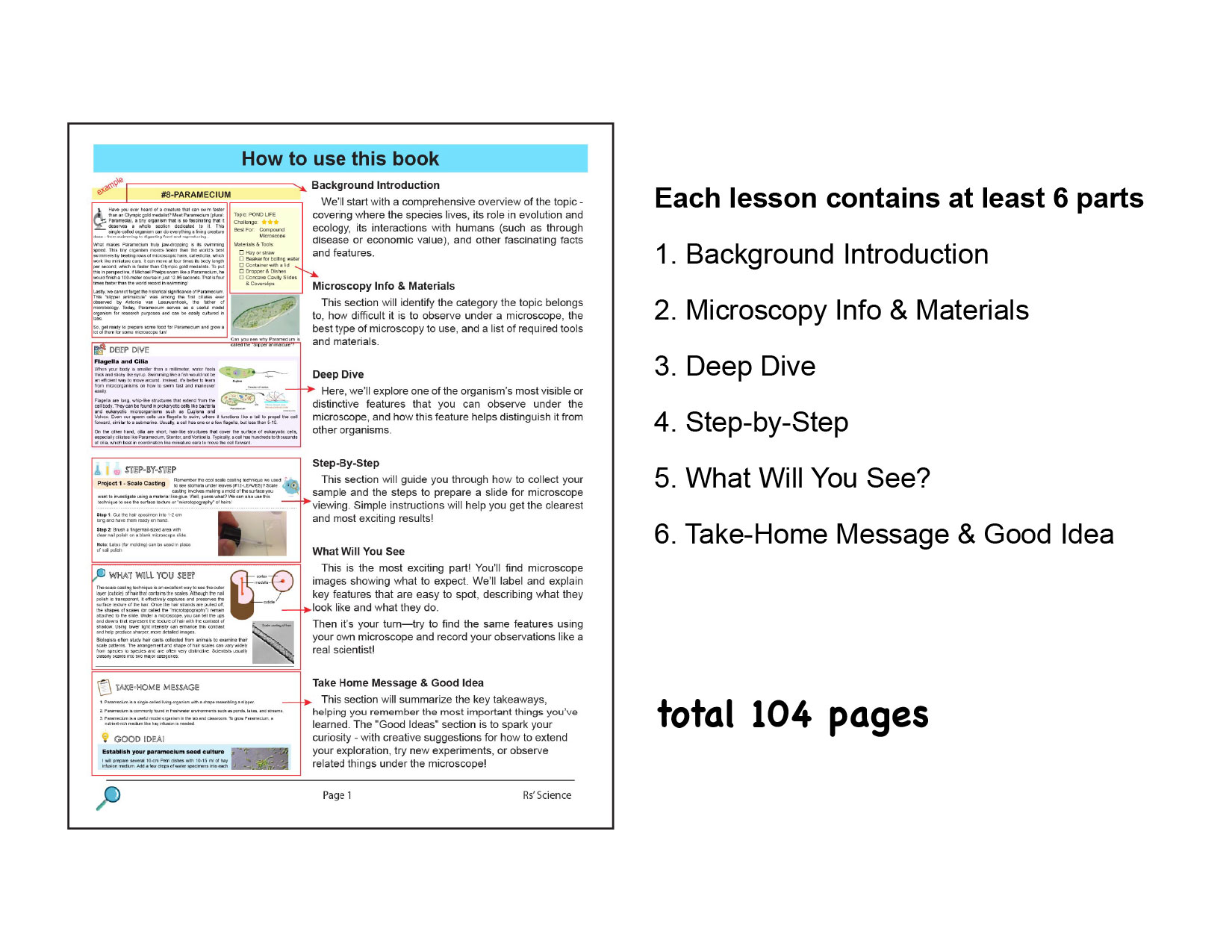 The Microscopic Explorers: 20 Biology Adventures You Can See - Rs' Science